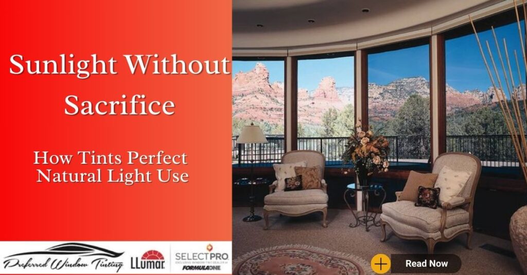 Sunlight Without Sacrifice: How Tints Perfect Natural Light Use ...